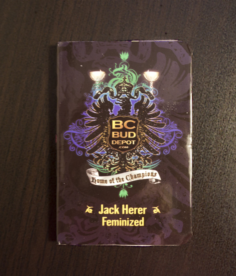 BC Bud Depot | Jack Herer Seeds | Green Parrot