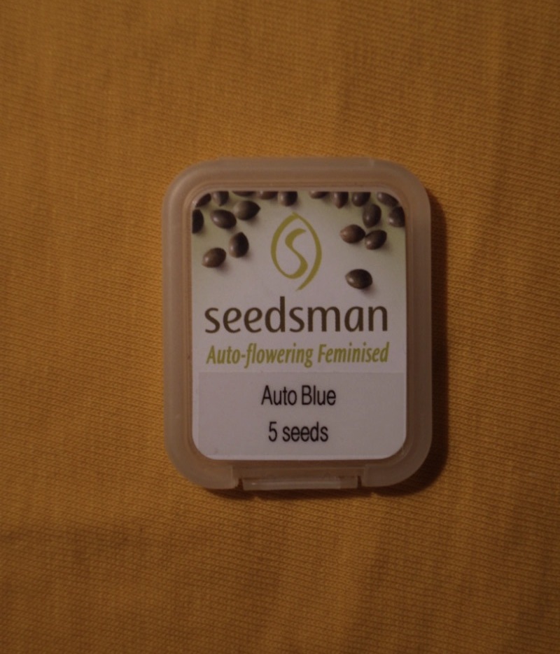 Seedsman | Auto Blue Seeds | Green Parrot